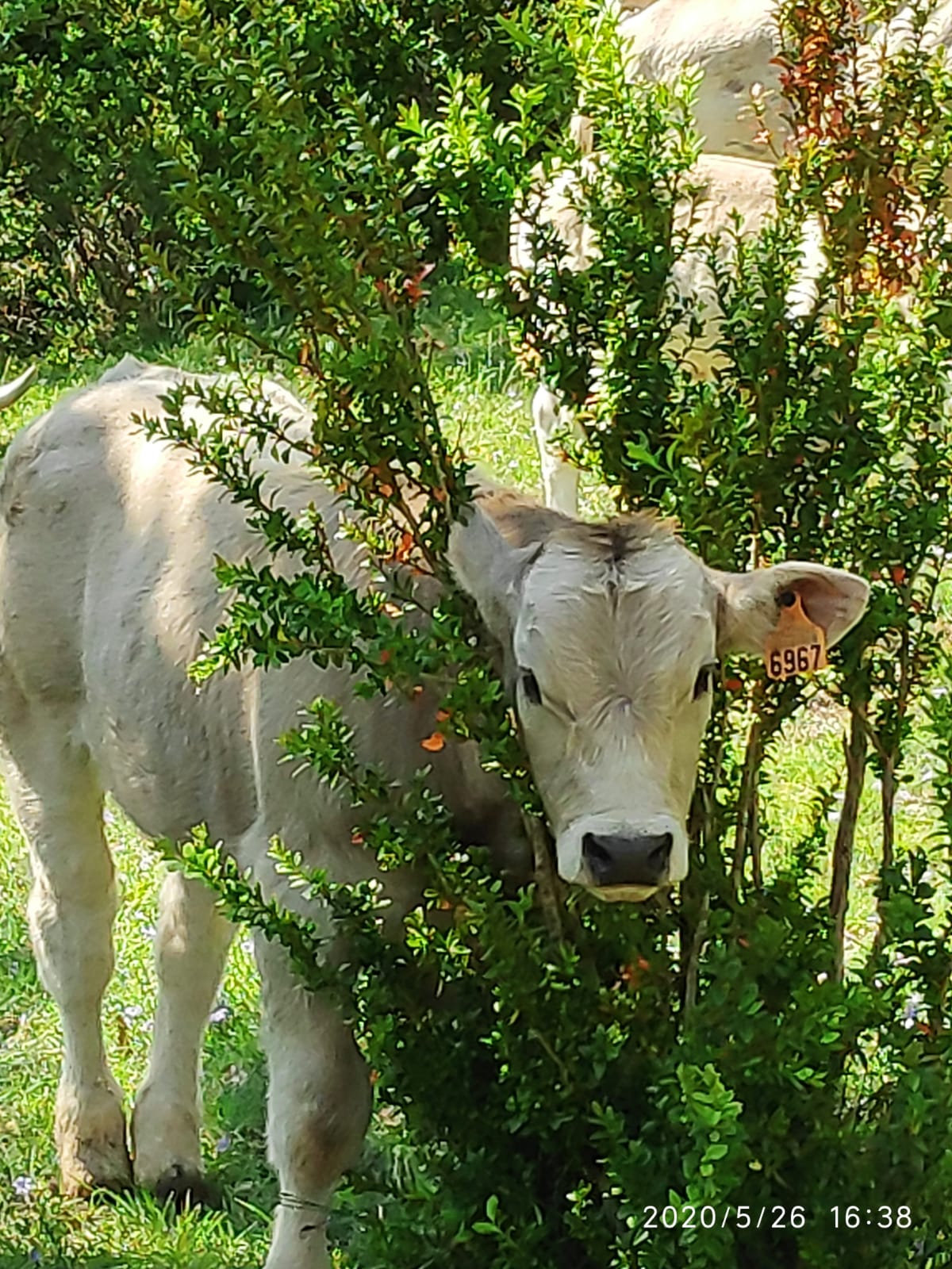 Guara.bio, finalista de los I Premios Edelweiss – Guara.Bio